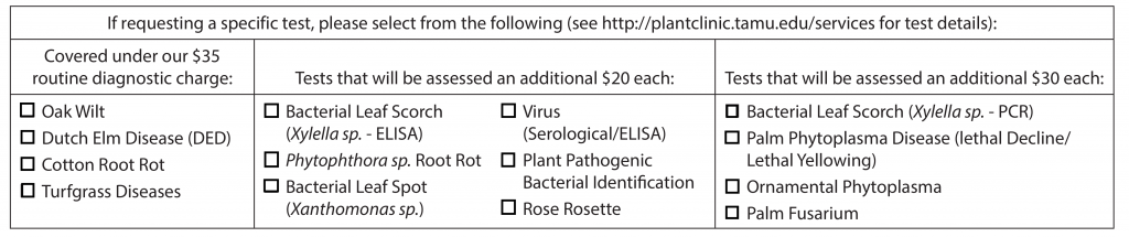 TPDDL Submission - Easy Steps for a Successful TPDDL Submission