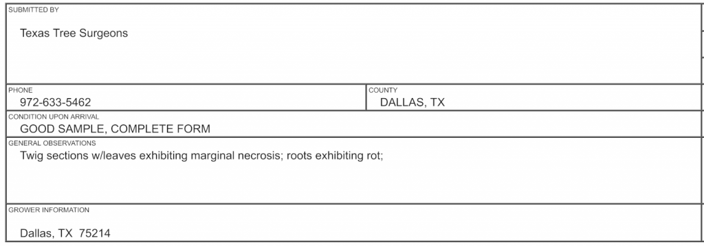 TPDDL Submission - Easy Steps for a Successful TPDDL Submission
