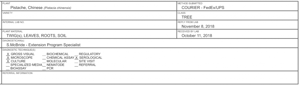 TPDDL Submission - Easy Steps for a Successful TPDDL Submission