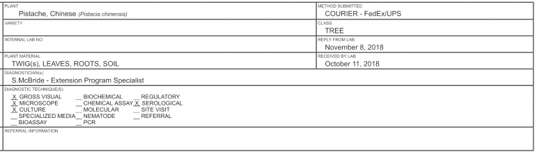 TPDDL Submission - Easy Steps for a Successful TPDDL Submission