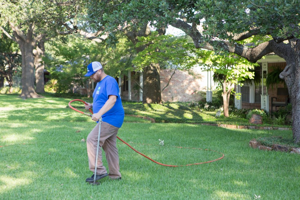 Tree Fertilizer Importance: Why Do Trees Need Fertilizer?