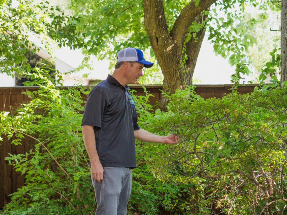 How We Work - Texas Tree Surgeons